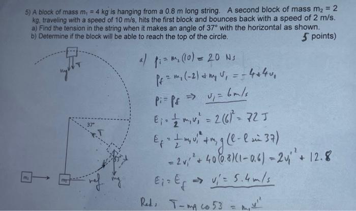 Solved 5) A block of mass m1=4 kg is hanging from a 0.8 m | Chegg.com