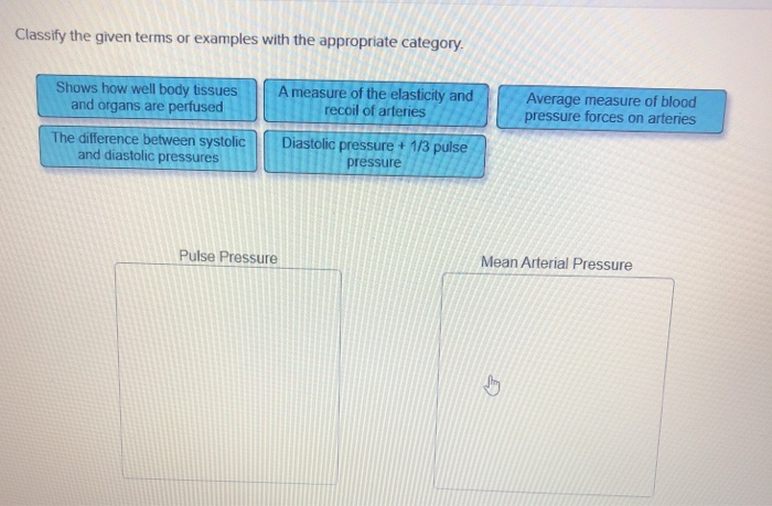 Solved Classify the given terms or examples with the | Chegg.com