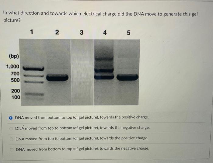 Solved In what direction and towards which electrical charge | Chegg.com