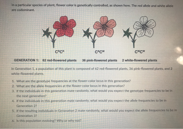 Solved In a particular species of plant, flower color is | Chegg.com