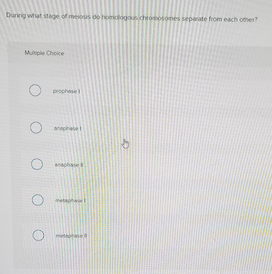 Solved During what stage of meiosis do homologous | Chegg.com