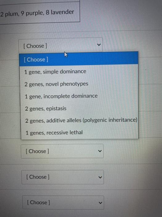 Solved 2. You are working on the genetics of flower color | Chegg.com