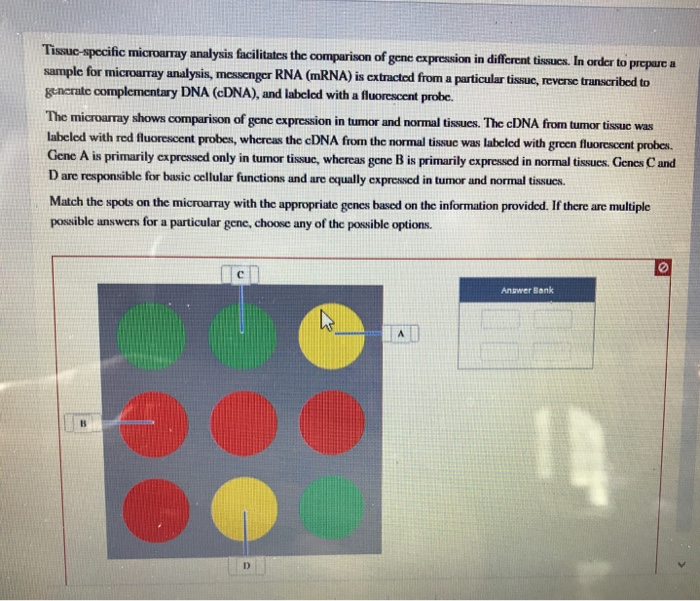 Tissue-specific microarray analysis facilitates the | Chegg.com