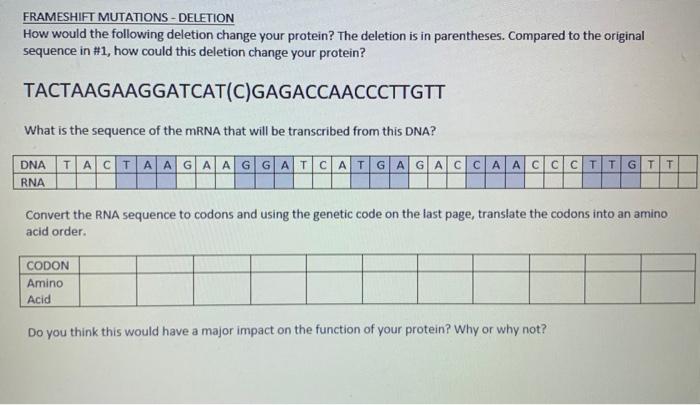 Solved 3. FRAMESHIFT MUTATIONS - ADDITION Frameshift | Chegg.com