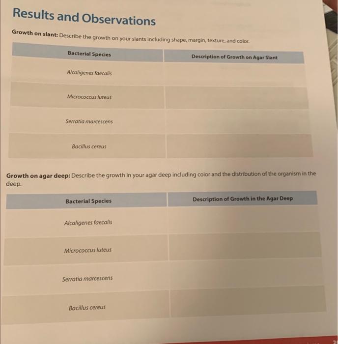 Results and Observations Growth on slant: Describe | Chegg.com