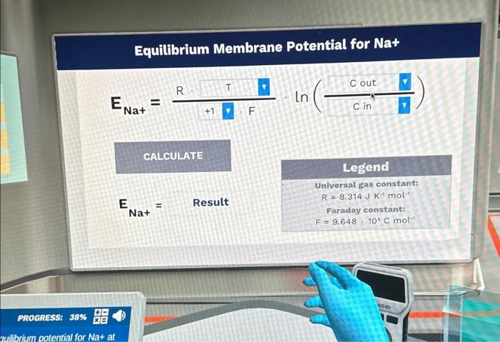 Equitibrium Membrane Potential for Nat CALCULATE | Chegg.com