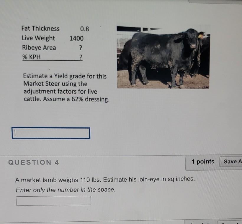 0.8 1400 Fat Thickness Live Weight Ribeye Area % KPH | Chegg.com