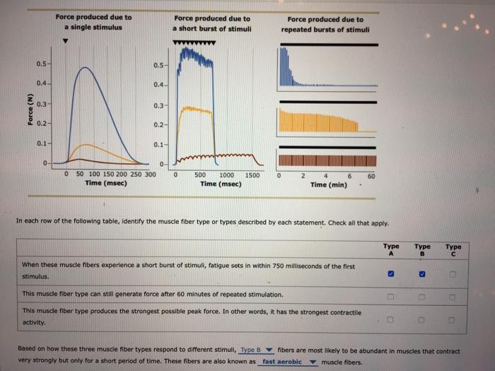 Solved Skeletal muscles usually consist of several distinct | Chegg.com