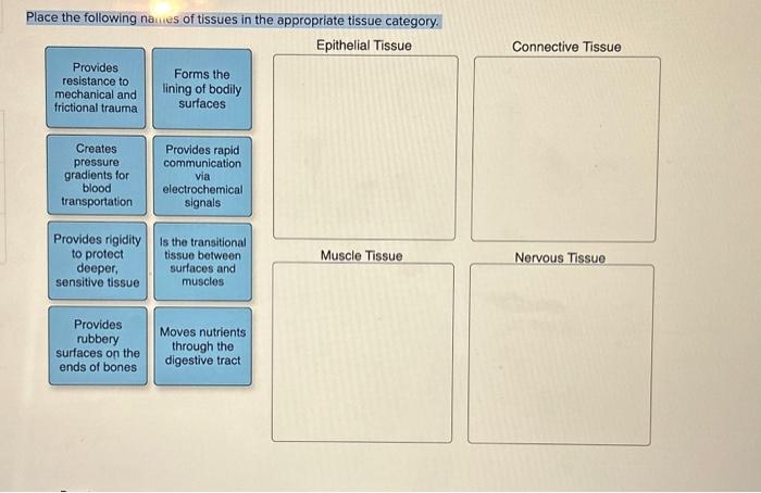 Place the following names of tissues in the | Chegg.com