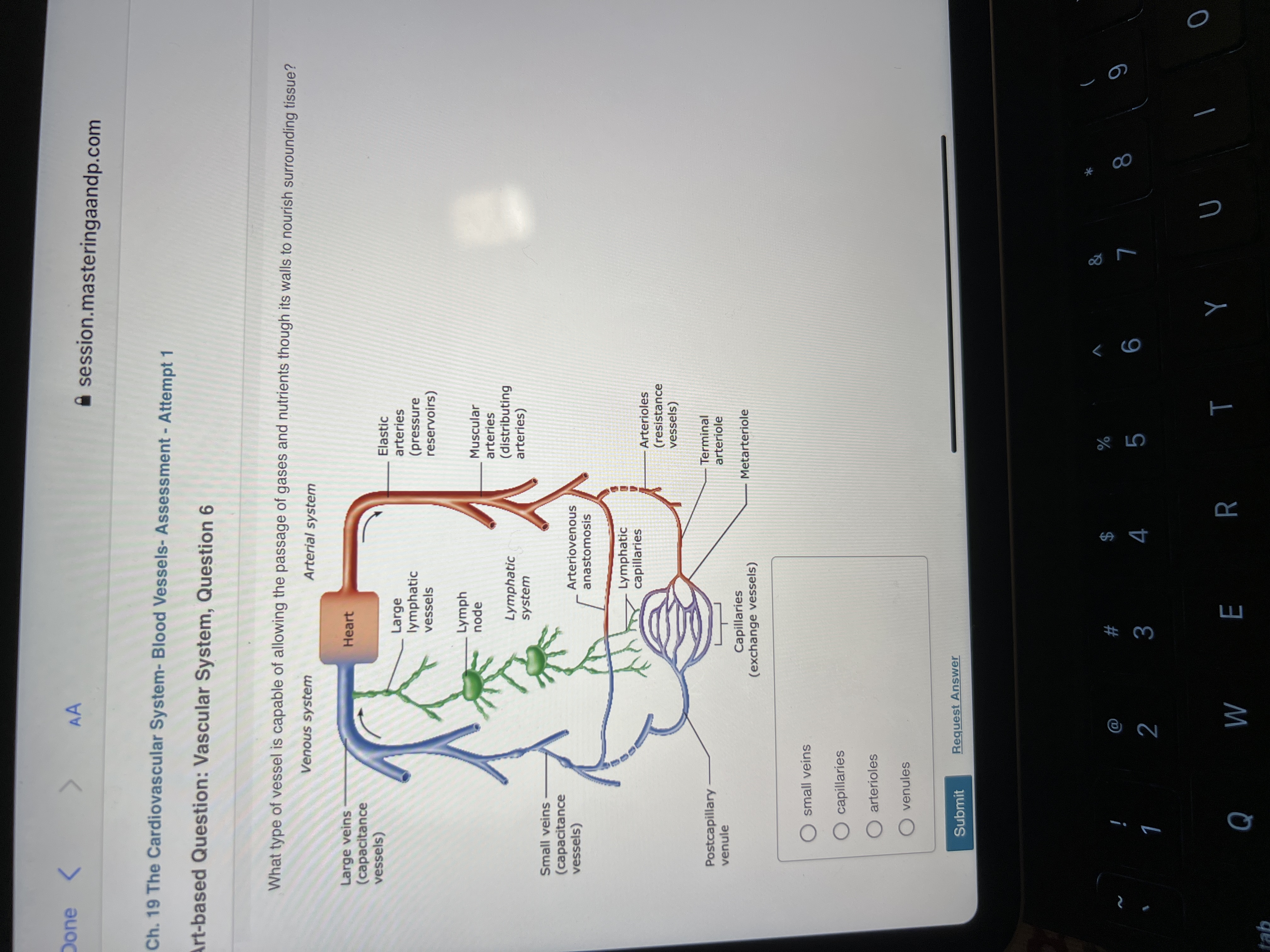 Solved Jone AA session.masteringaandp.com Ch. 19 ﻿The | Chegg.com
