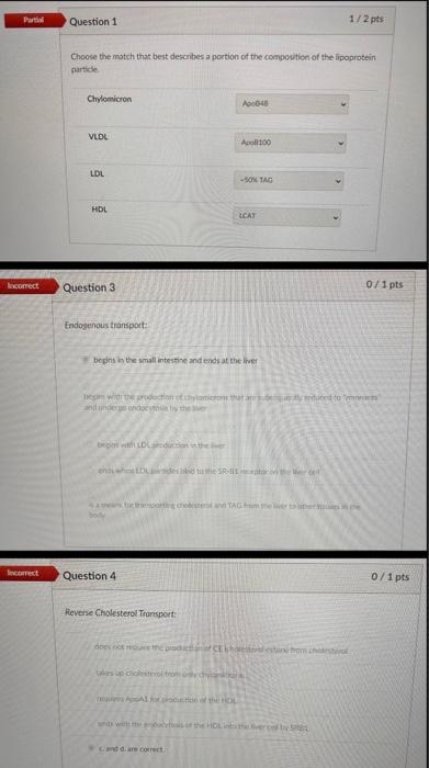 Solved Choose the match that best describes a portion of the | Chegg.com