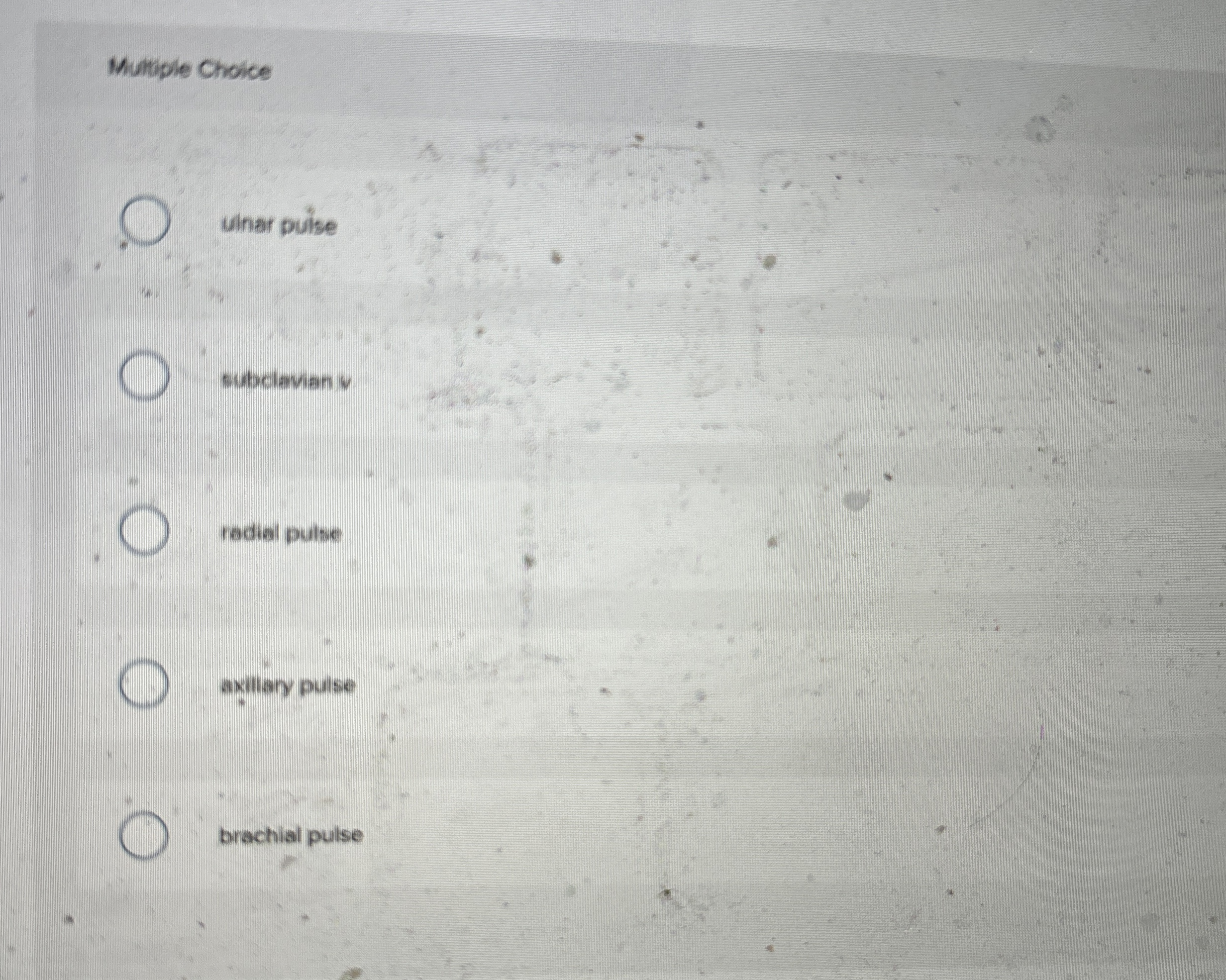 High Quality SOLUTION what structure is highlighted?Multiple Choice ﻿ulnar | Chegg.com