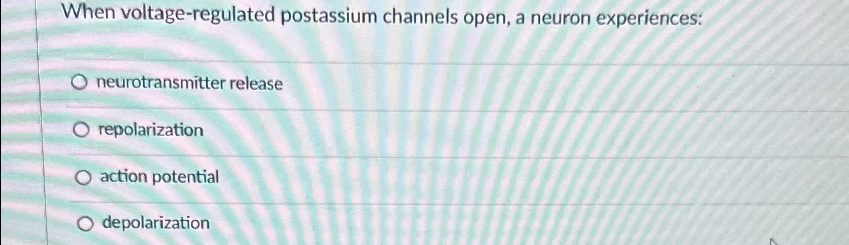 Solved When voltage-regulated postassium channels open, a | Chegg.com