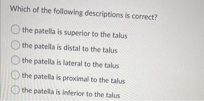 Solved Which of the following descriptions is correct? the | Chegg.com