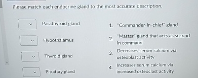 Solved Please match each endocrine gland to the most | Chegg.com