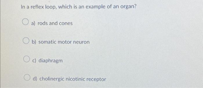 Solved In a reflex loop, which is an example of an organ? a) | Chegg.com