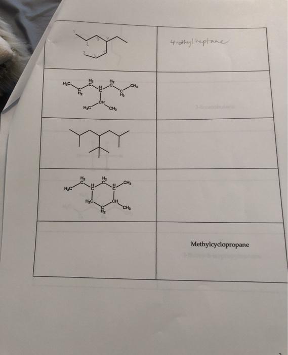 Solved 4-ethylheptane HC сн. HyC CH CH Methylcyclopropane | Chegg.com