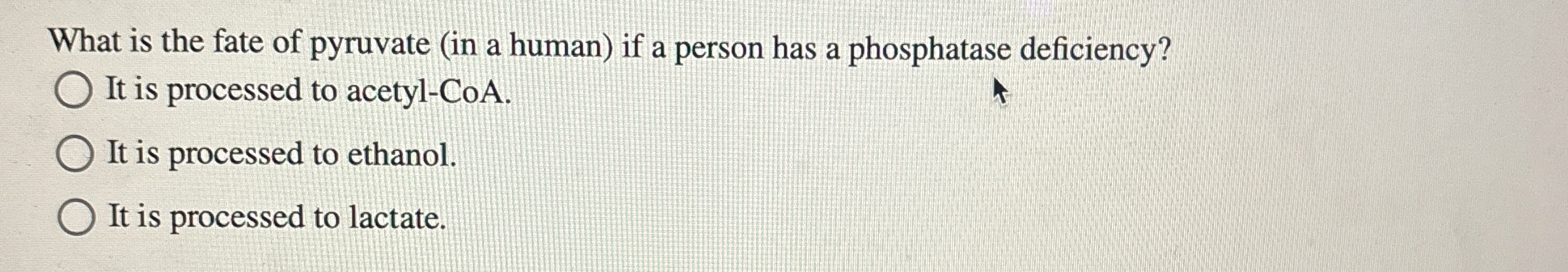 Solved What is the fate of pyruvate (in a human) ﻿if a | Chegg.com