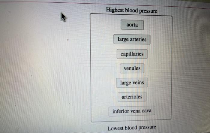 Solved Highest blood pressure aorta large arteries | Chegg.com
