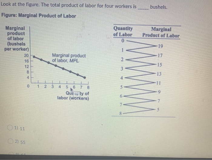 Solved Look at the figure. The total product of labor for | Chegg.com
