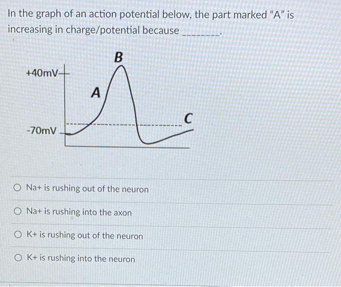 Solved In the graph of an action potential below, the part | Chegg.com