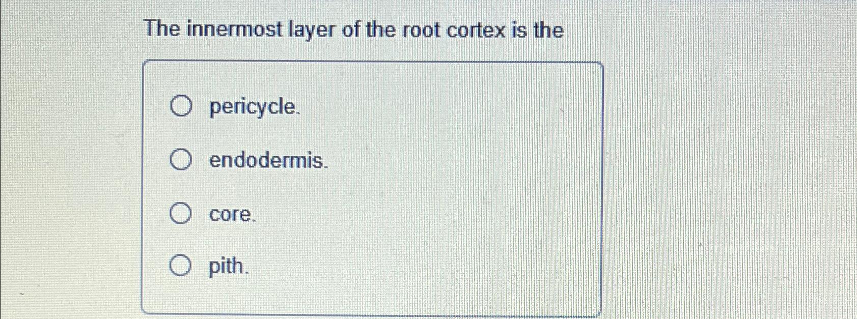 Solved The innermost layer of the root cortex is | Chegg.com