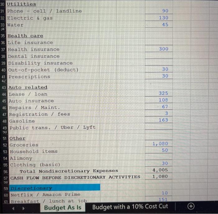 Solved Directions : Reduce 6 to 8 expenses so that total | Chegg.com