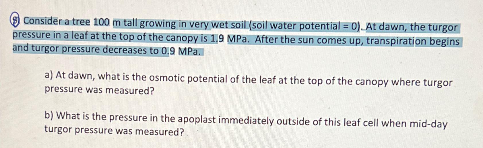 Solved (9) ﻿Consider a tree 100m ﻿tall growing in very wet | Chegg.com
