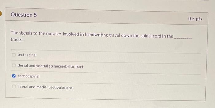 Solved The signals to the muscles involved in handwriting | Chegg.com