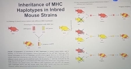 Solved What is the overall message of the image? | Chegg.com