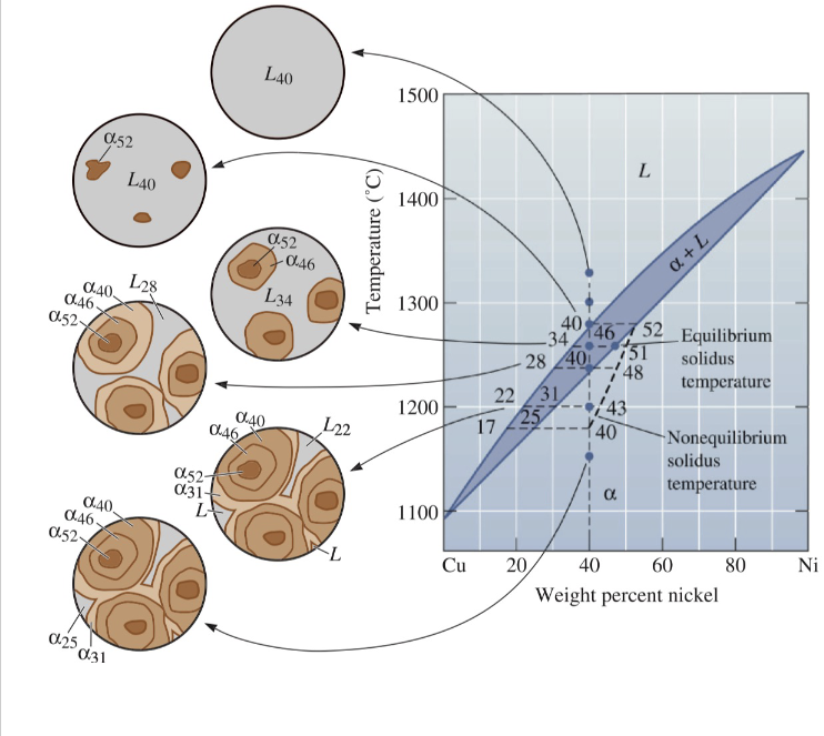 Solved calculate the composition and amount of each phase in | Chegg.com