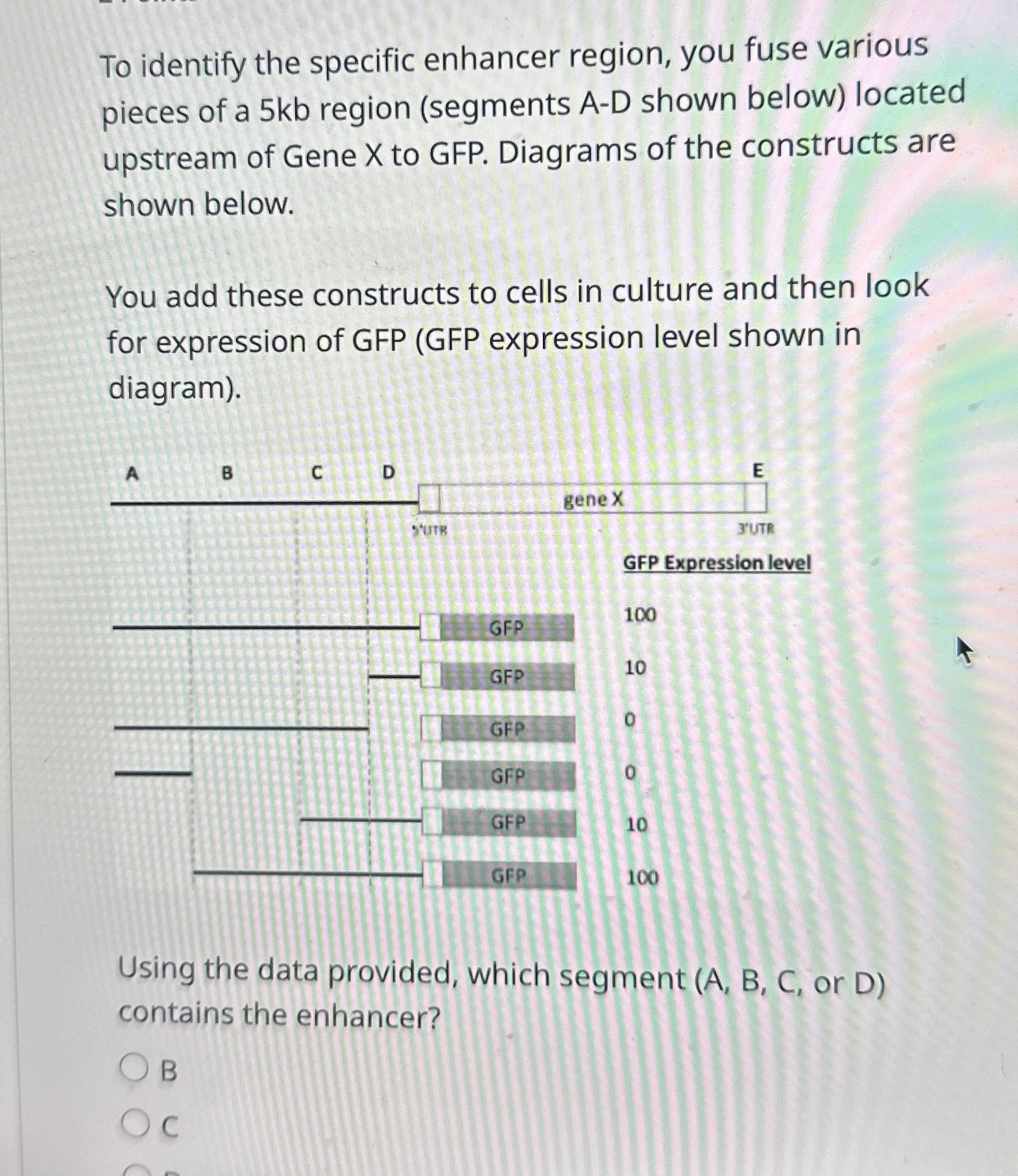 Solved To identify the specific enhancer region, you fuse | Chegg.com