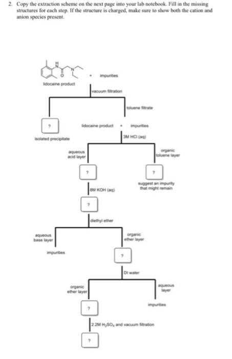Solved 2. Copy the extraction scheme on the next page into | Chegg.com