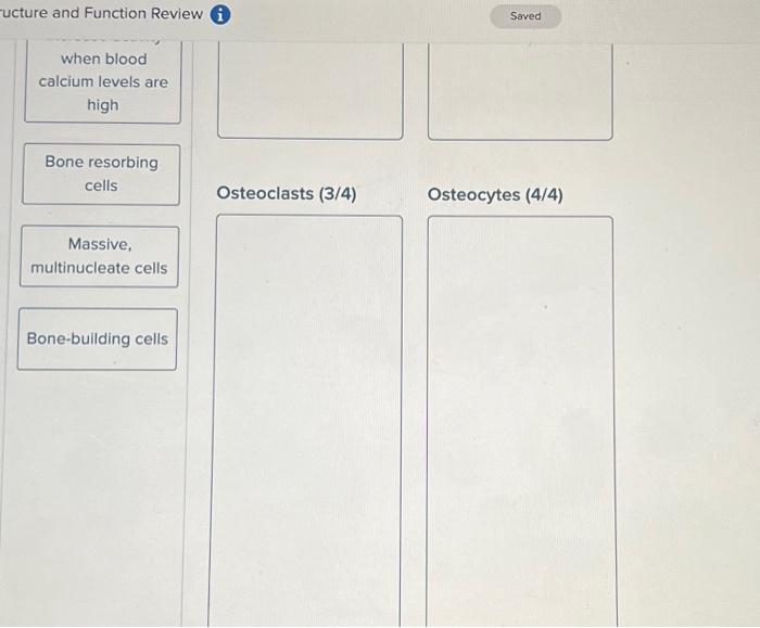 Solved Drag each label into the proper position to identify | Chegg.com