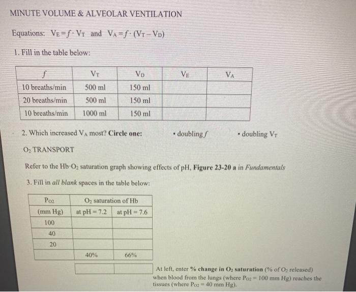 Solved MINUTE VOLUME & ALVEOLAR VENTILATION Equations: | Chegg.com