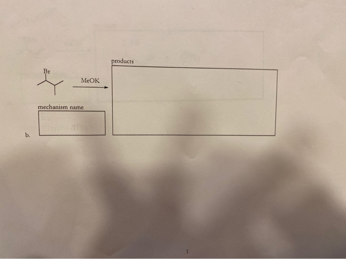 Solved products MeOK mechanism name | Chegg.com