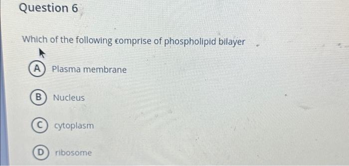 Solved Question 6 Which of the following comprise of | Chegg.com