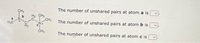 Solved The number of unshared pairs at atom a is The number | Chegg.com