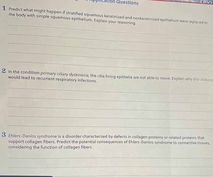 Solved Predict what might happen if stratified squamous | Chegg.com