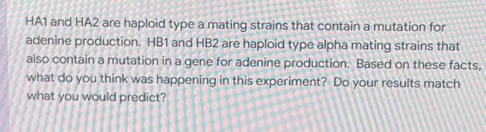Solved HA1 and HA2 are haploid type a mating strains that | Chegg.com