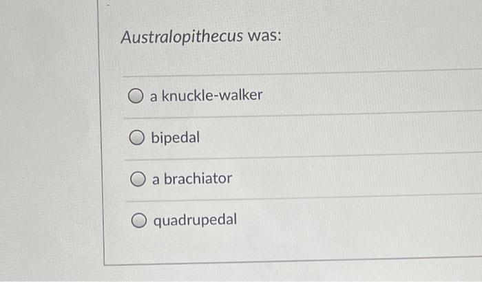 Solved Australopithecus was: O a knuckle-walker bipedal O a | Chegg.com