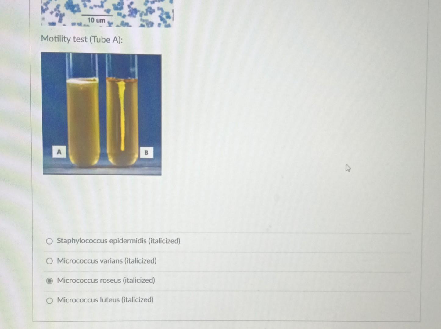 Solved You perform several tests on an unidentified | Chegg.com