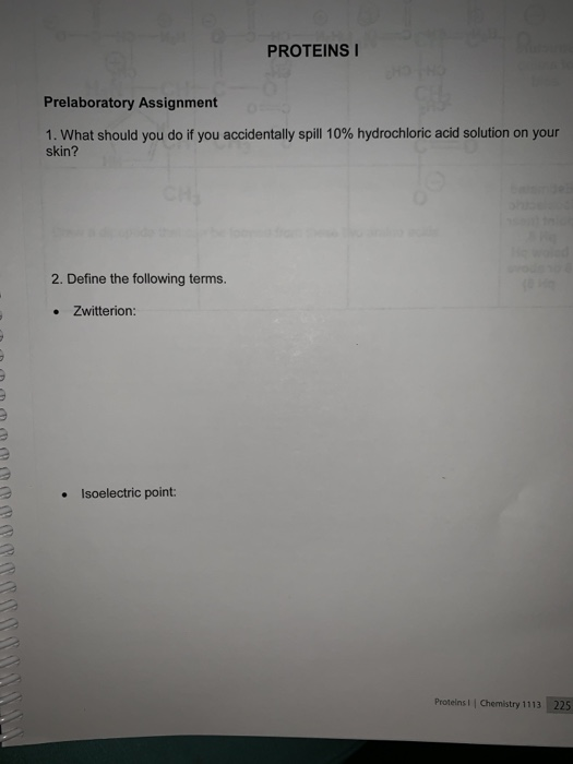 Solved PROTEINSI Prelaboratory Assignment 1. What should you | Chegg.com Solved PROTEINSI Prelaboratory Assignment 1. What should you | Chegg.com