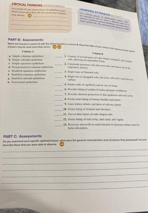 Solved LEARNING EXTENSION ACT Match the tissues in column A | Chegg.com