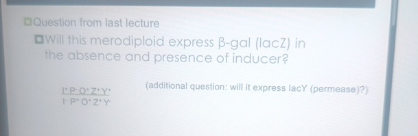 Solved QQuestion from last lectureWill this merodiploid | Chegg.com