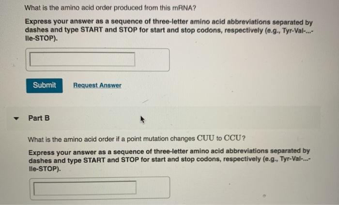 Solved Consider the following segment of mRNA produced by | Chegg.com
