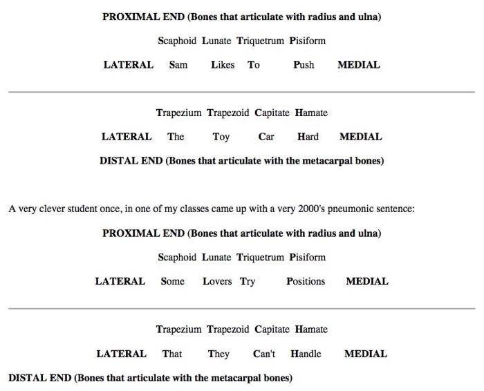 Solved This pneumonic sentence also has the same | Chegg.com