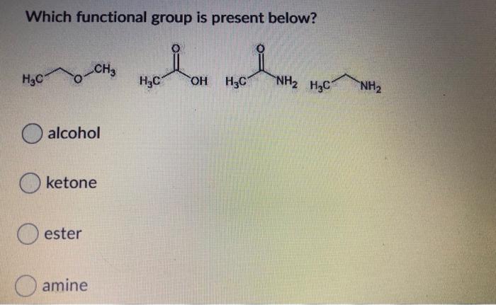 Solved Which functional group is present below? CH3 H2C H3C | Chegg.com