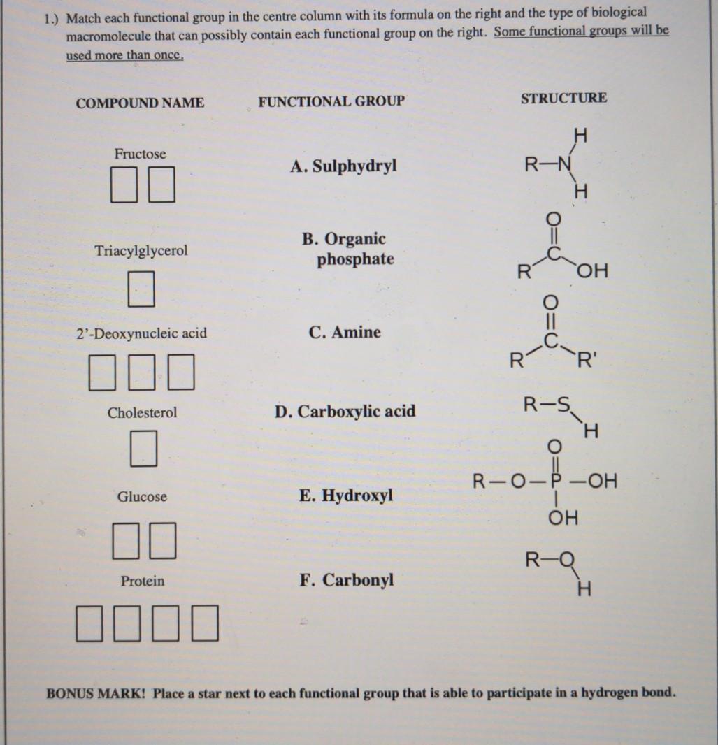 Solved 1.) Match each functional group in the centre column | Chegg.com
