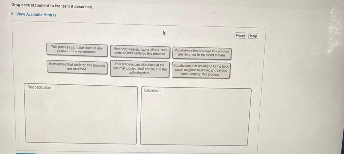 Solved Drag each statement to the term it describes View | Chegg.com